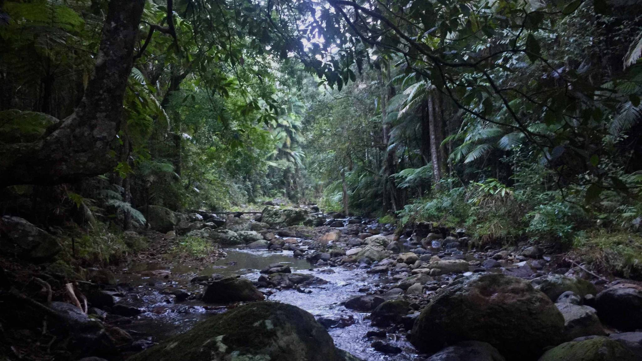 eco-screen | Screen Queensland