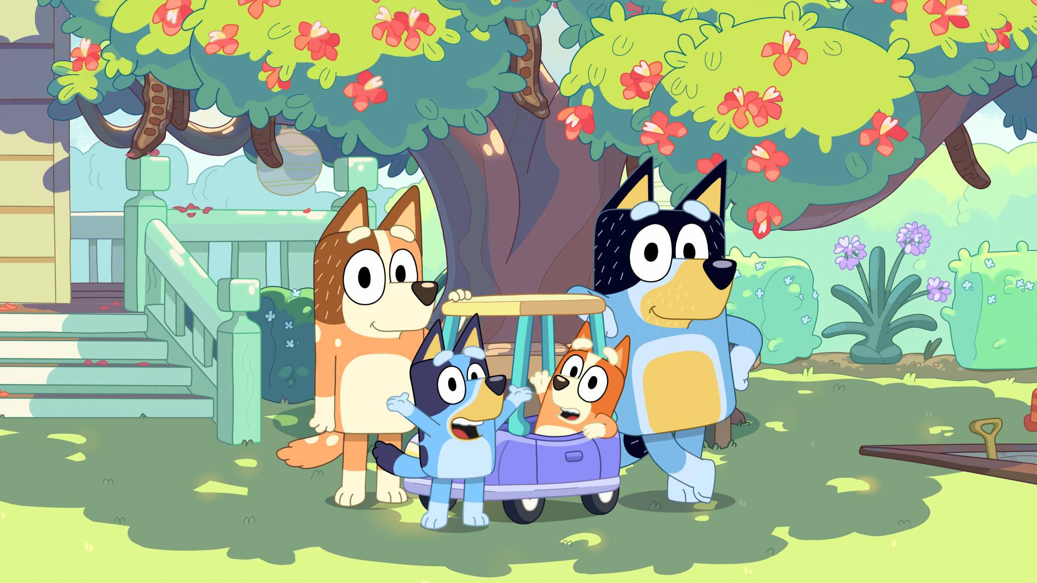 Watch Season Two Of Bluey Screen Queensland
