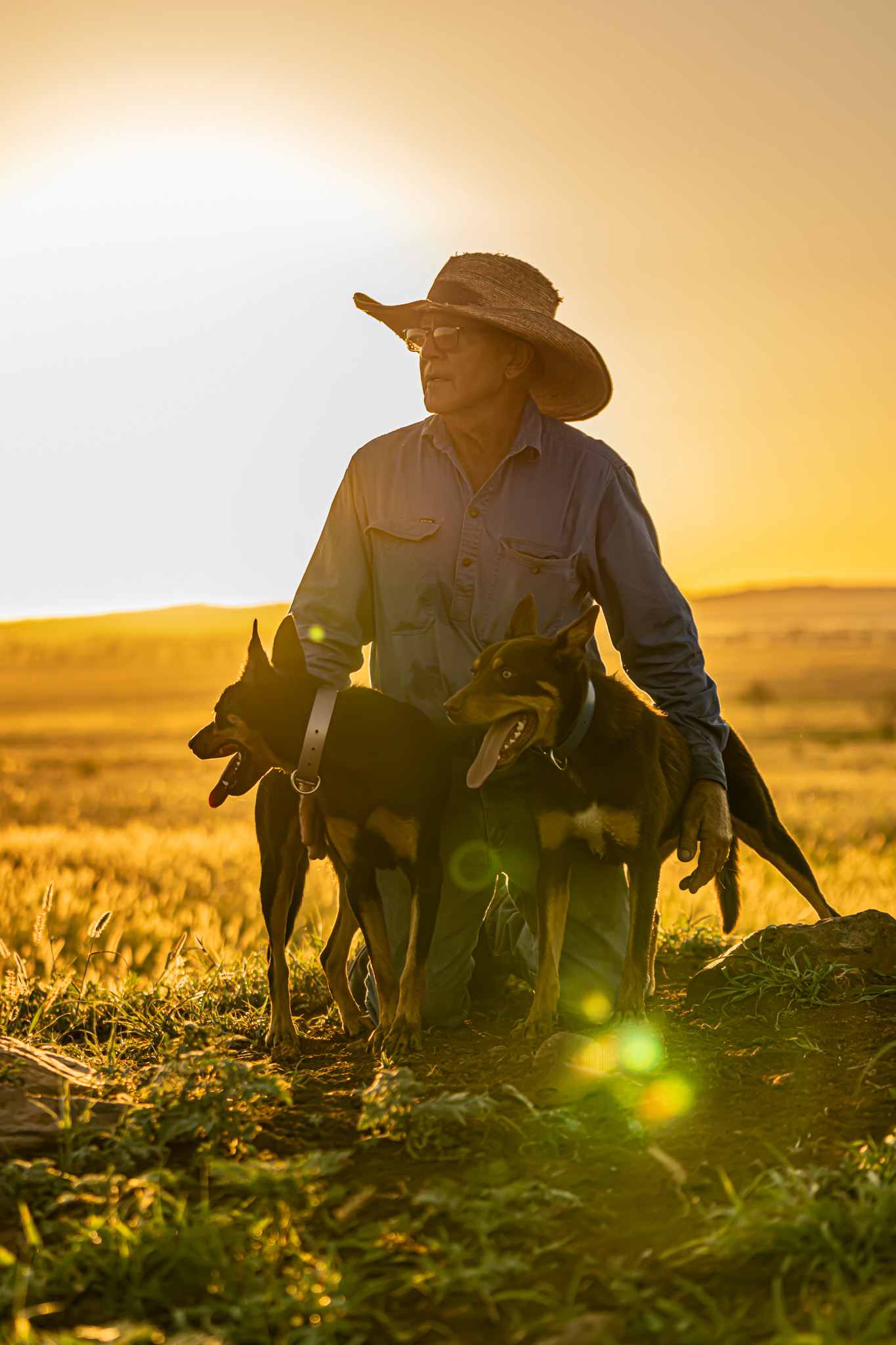 ABC’s Muster Dogs showcases Regional QLD | Screen Queensland