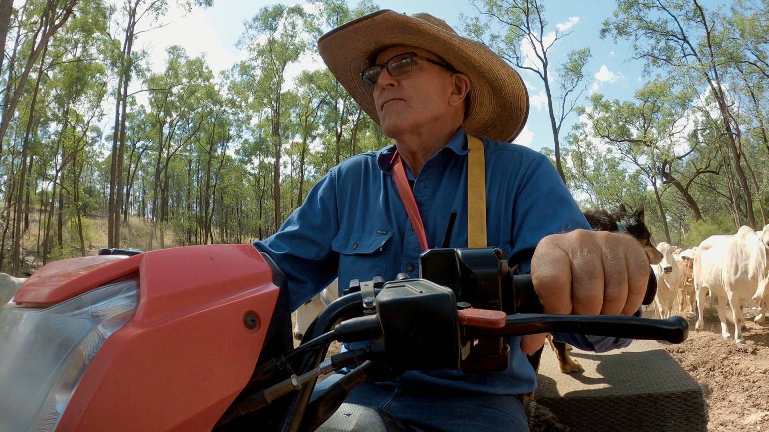 ABC’s Muster Dogs showcases Regional QLD | Screen Queensland