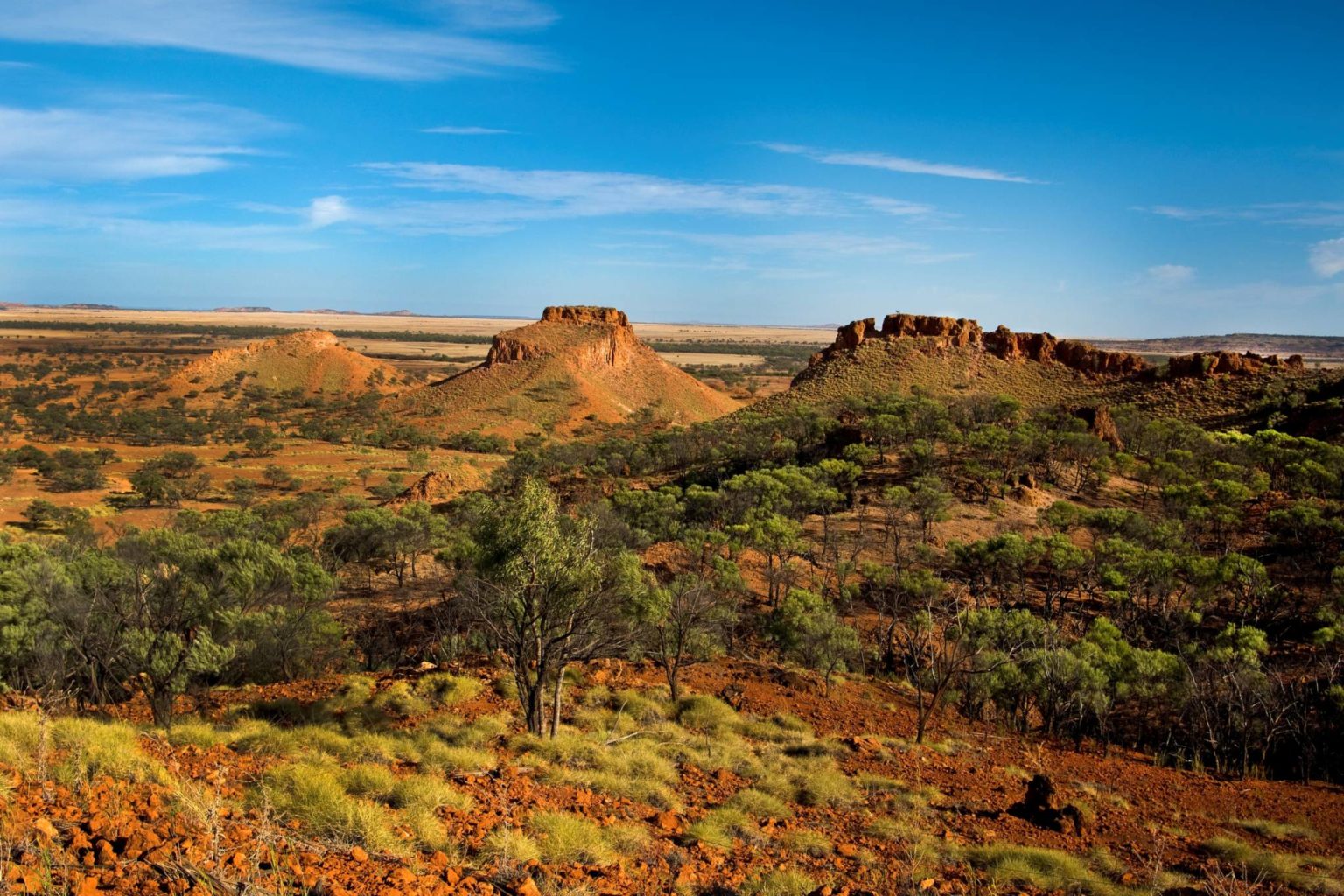 QPE Definition | Screen Queensland